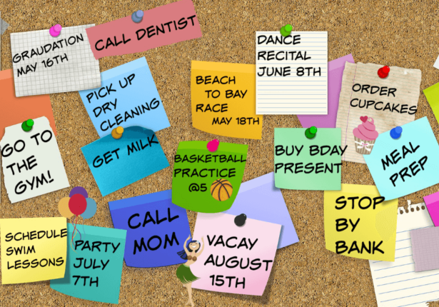 Family|Organization|Wellness : The Happy Busy Life